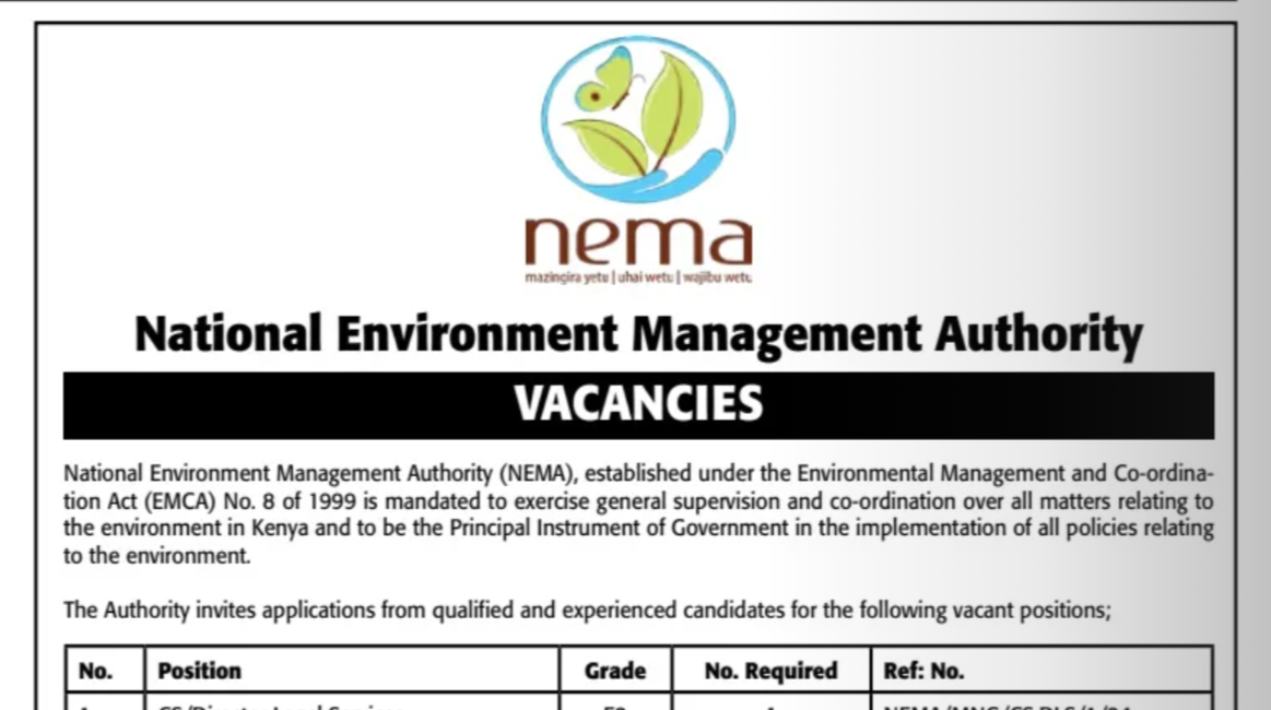 32 Posts at NEMA Jobs October 2025