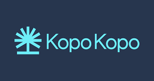 Business Relationship Manager at Kopo Kopo Inc October 2025